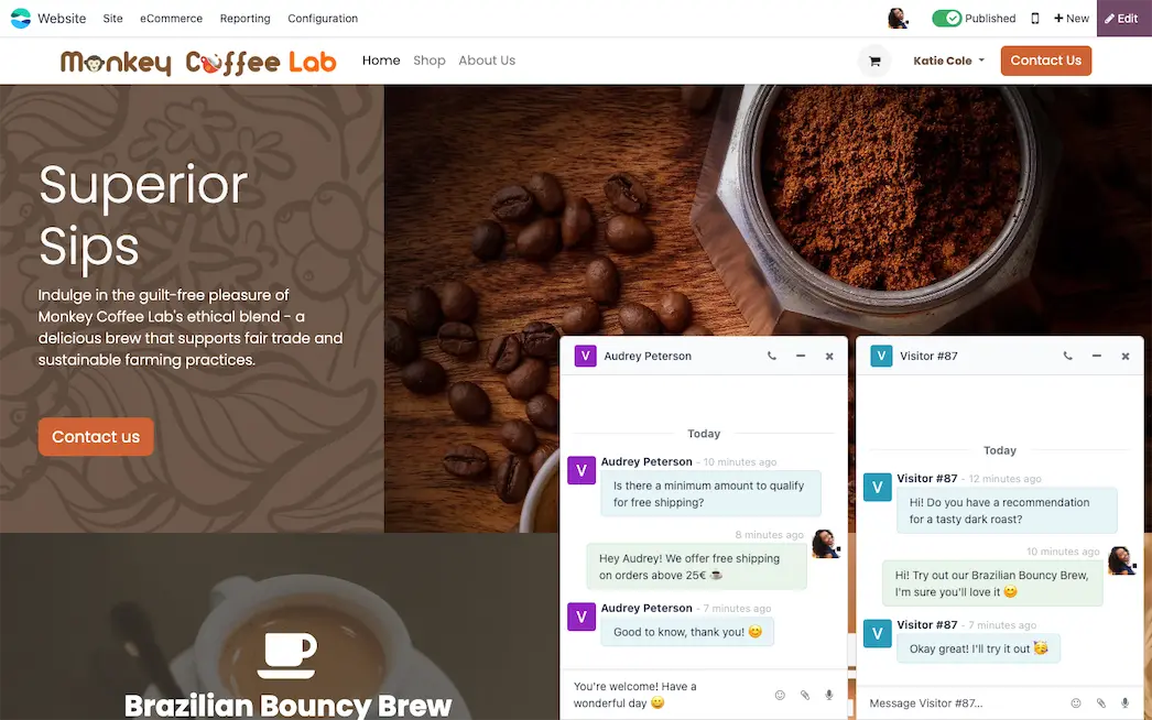 Odoo Live Chat App in Australia| MoonSun